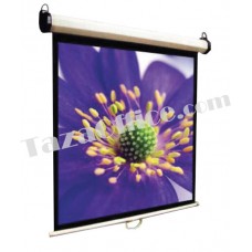 Classic Manual Screen